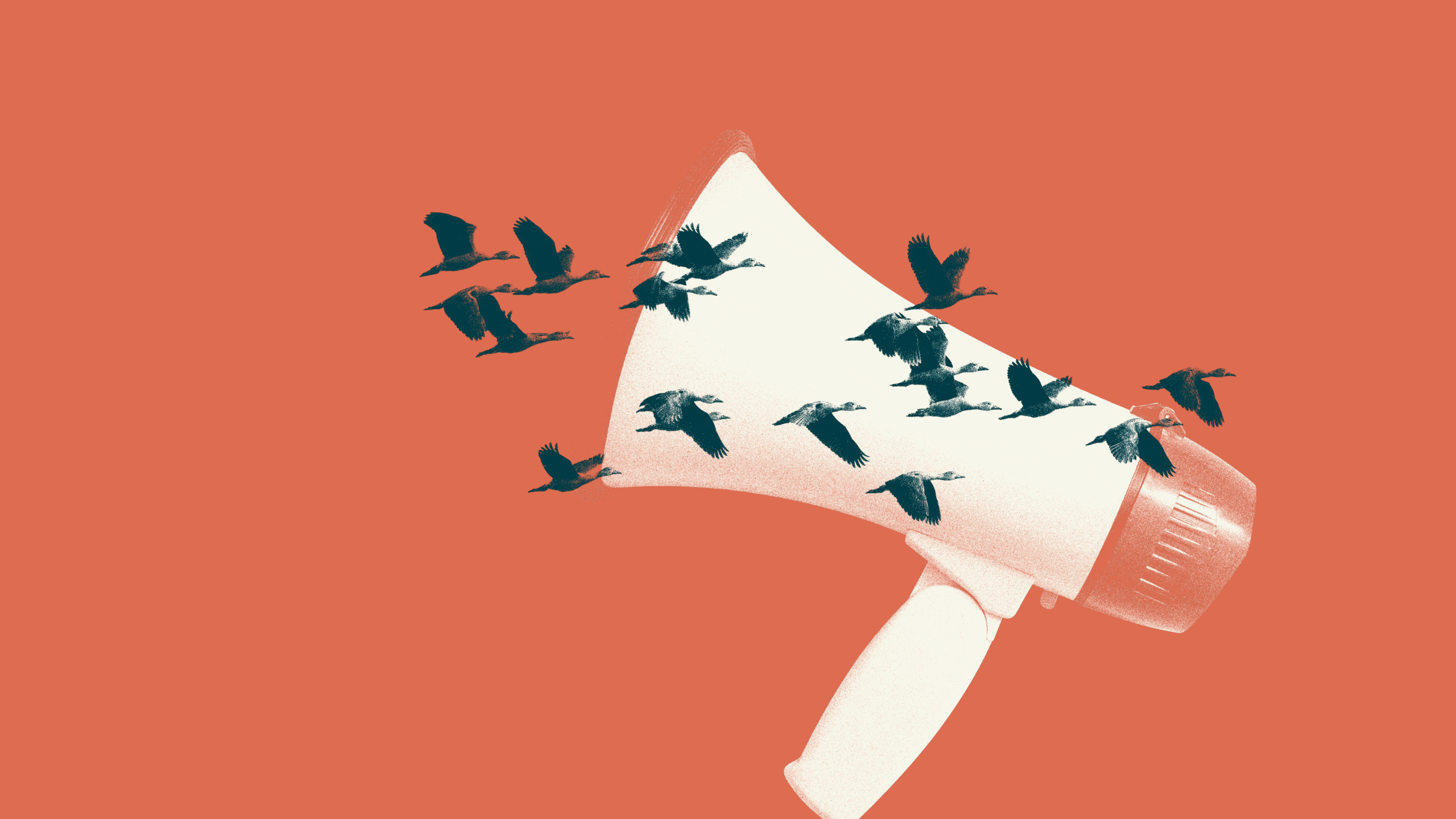 Now hiring a Communications Director - Global Commons Alliance