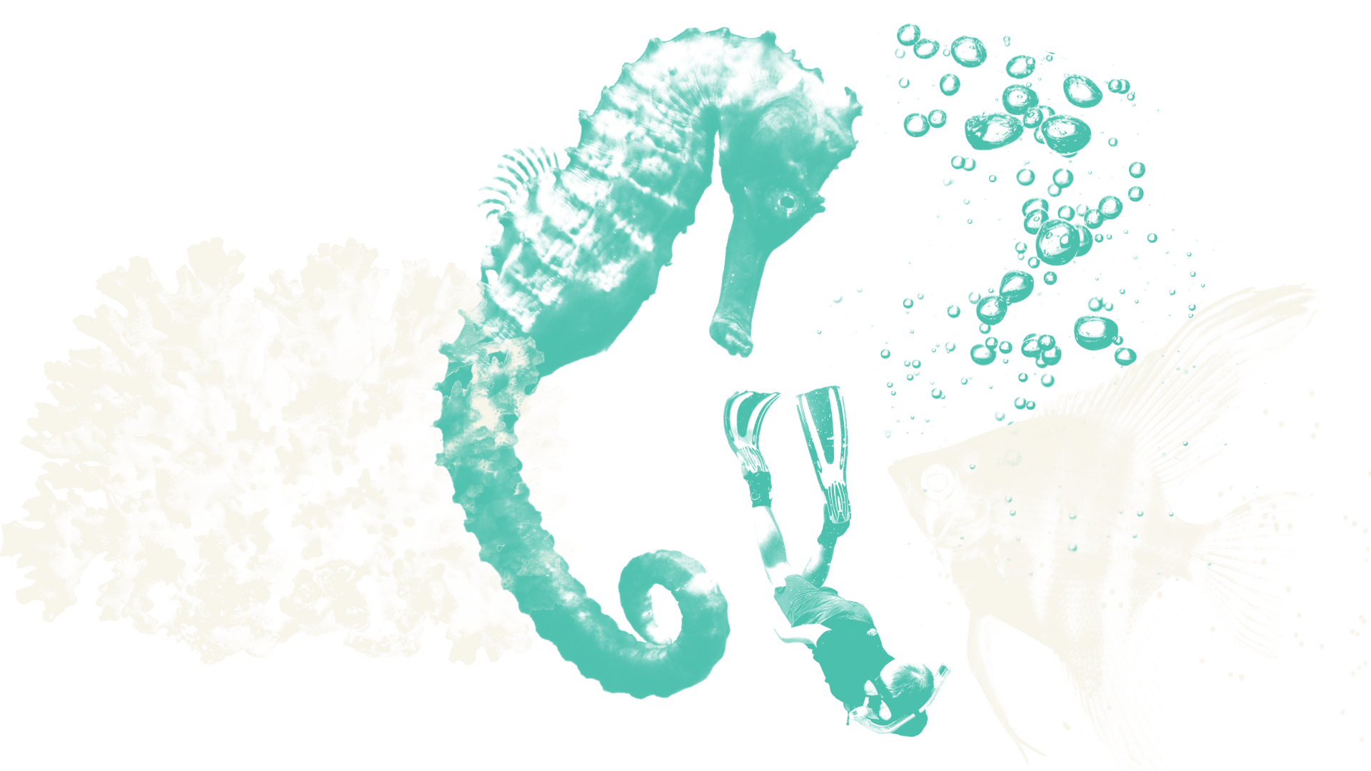 UN Ocean Conference 2025 - Global Commons Alliance