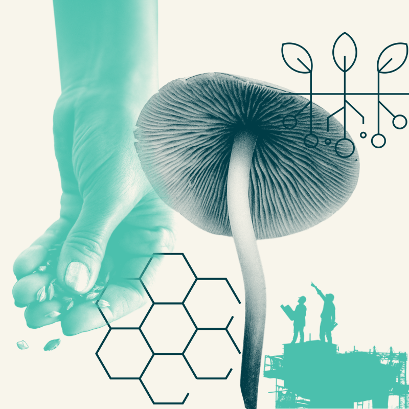 Global Commons Alliance - Global Commons Alliance