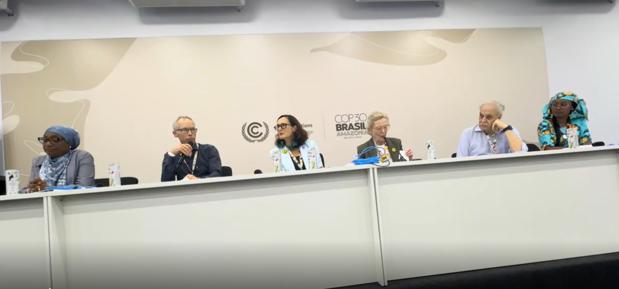 Justice and Wellbeing within Planetary Boundaries: Key Insights from ...